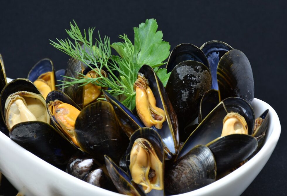 9 Benefits of Green-Lipped Mussels for Dogs, a Natural Anti ...